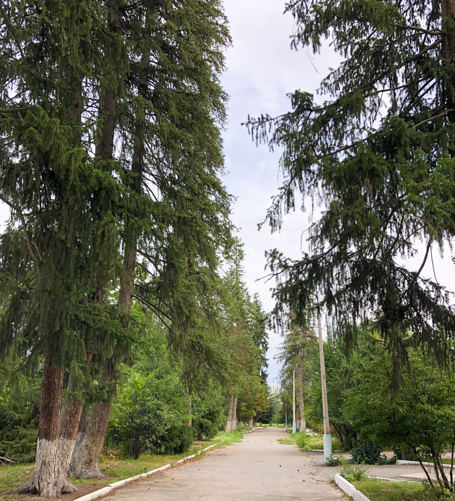 5 best things to do in Karakol and 2 day trips to make - Marshmallow ...